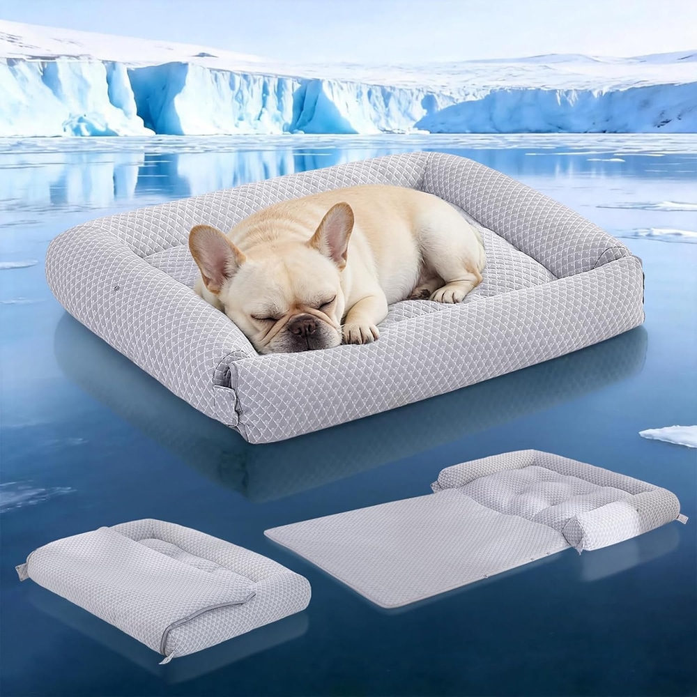Best 5 Dog Cooling Beds of 2026: Professional Solutions for Overheating ...