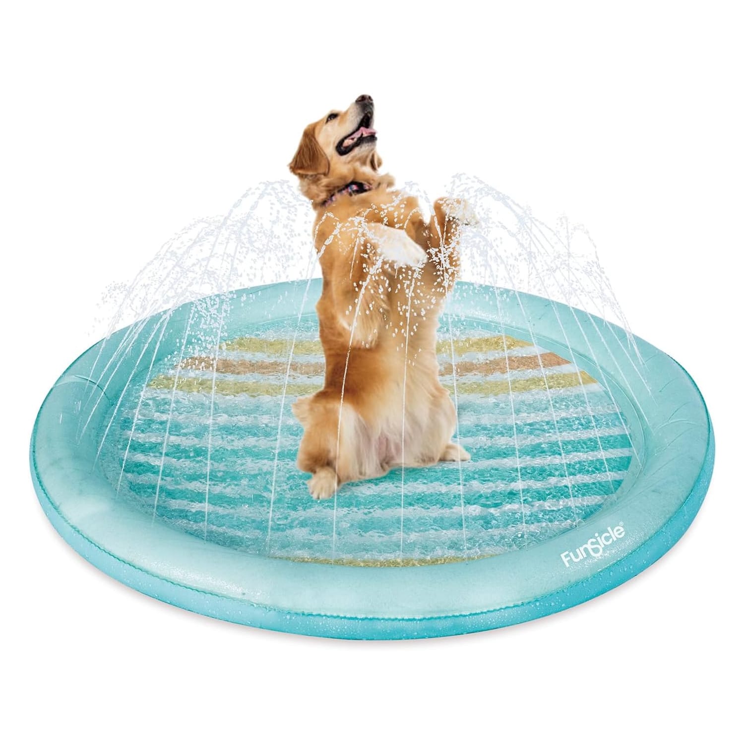 Best 5 Heavy Duty Dog Splash Pads of 2026: Durable Water Fun for Your ...
