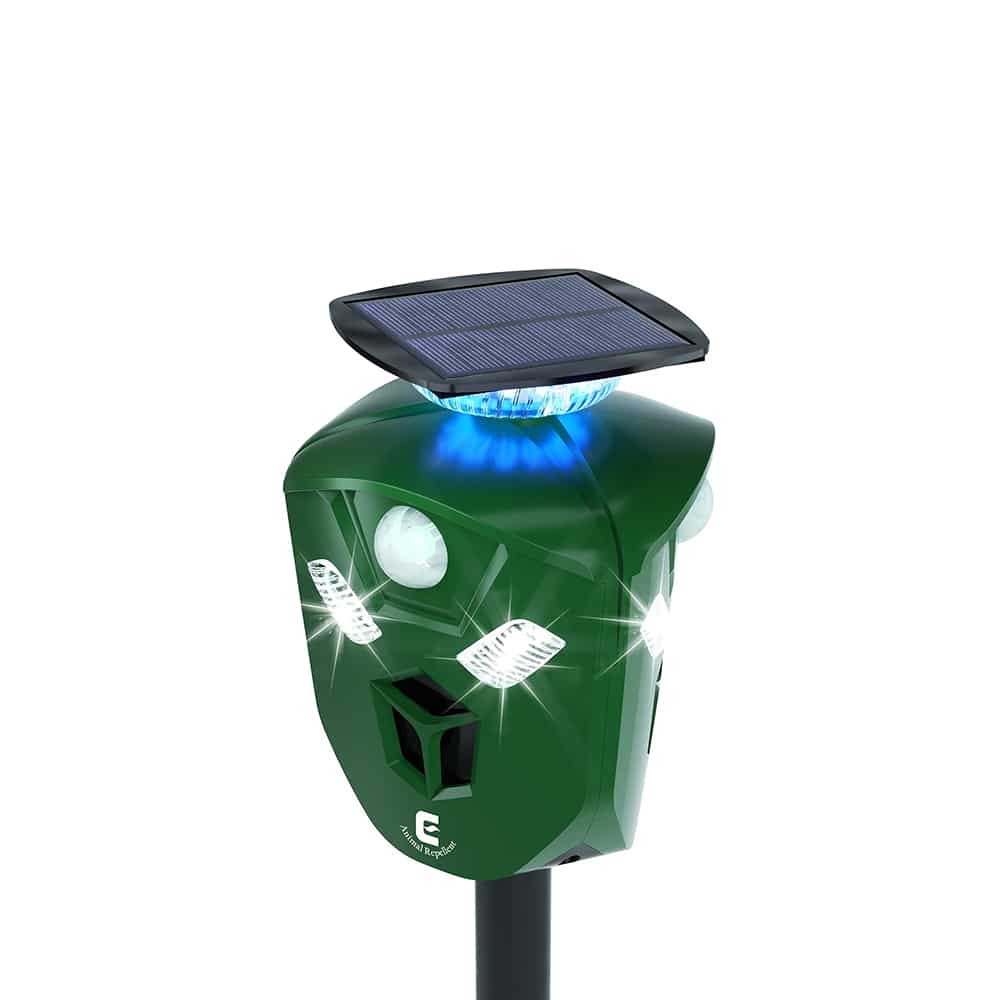 Best 5 Ultrasonic Bird Repellers of 2026: Protect Your Property from ...